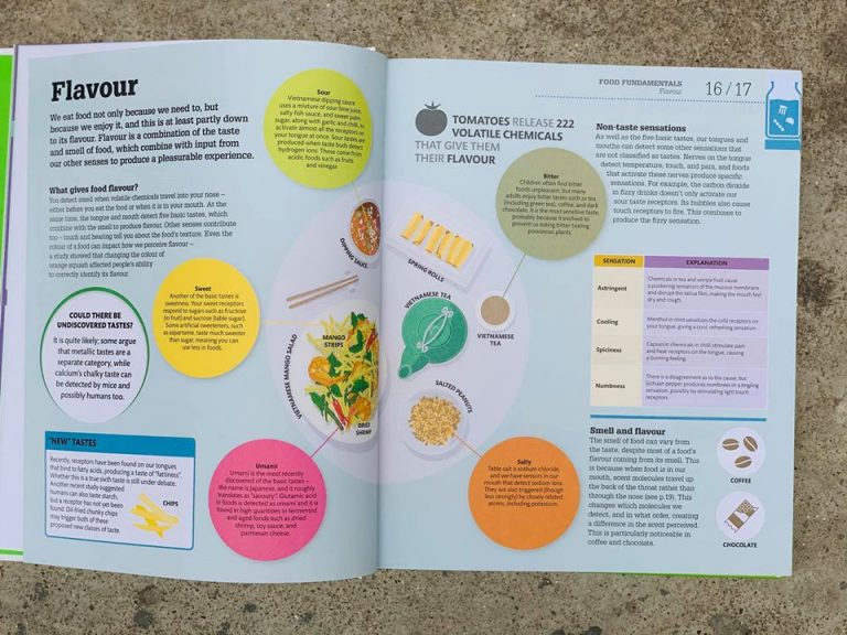 How Food Works The Facts Visually Explained - Gia Dụng Nhà Việt